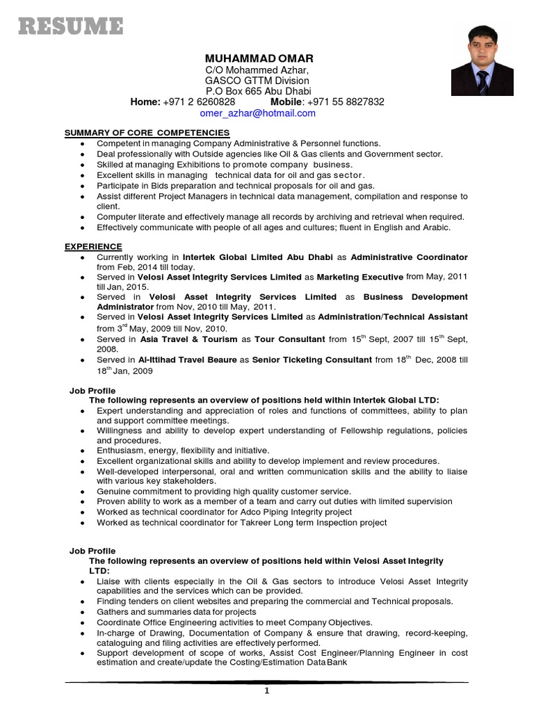 Omer CV | PDF | Consultant | Employment