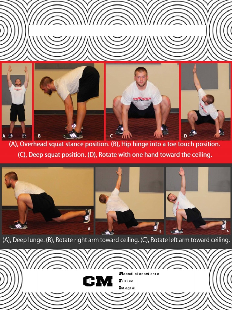 El Calentamiento Dinámico En El Deporte Pdf Anatomía Humana