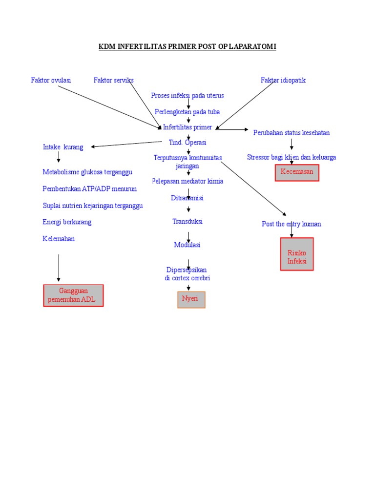 Post Op Laparatomi | PDF