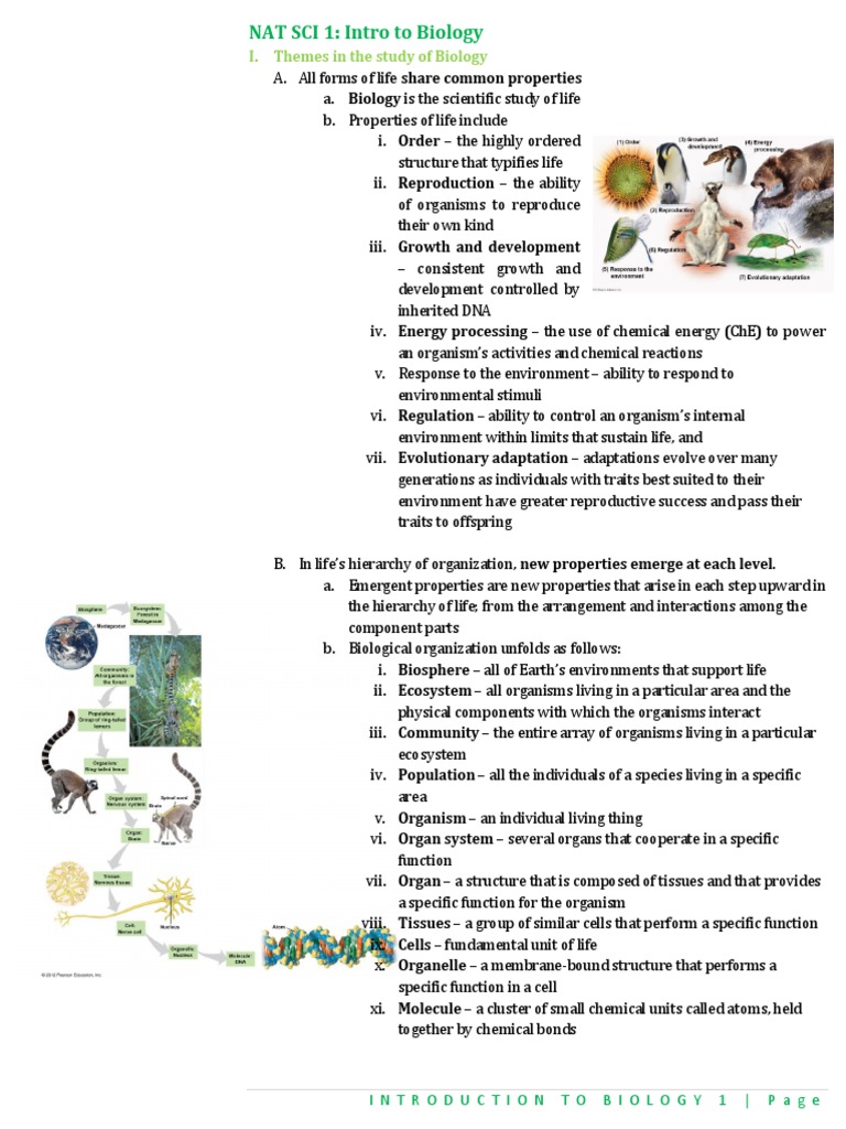 I. Themes in The Study of Biology: Introduction To Biology 1 - Page ...