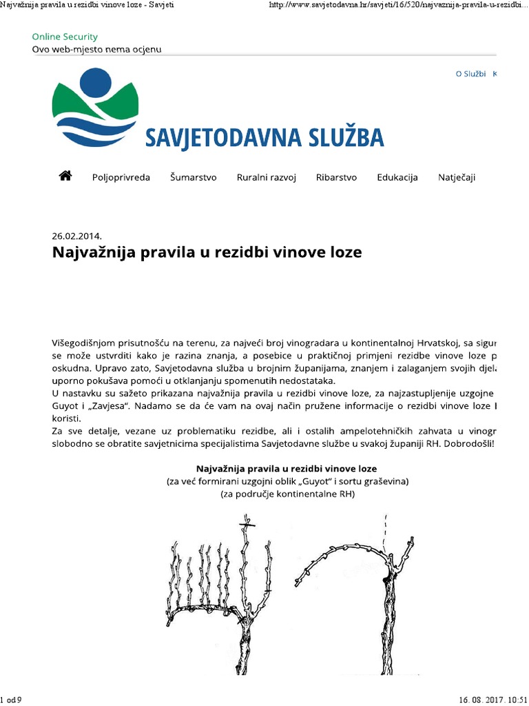 Najvažnija Pravila U Rezidbi Vinove Loze - Savjeti | PDF