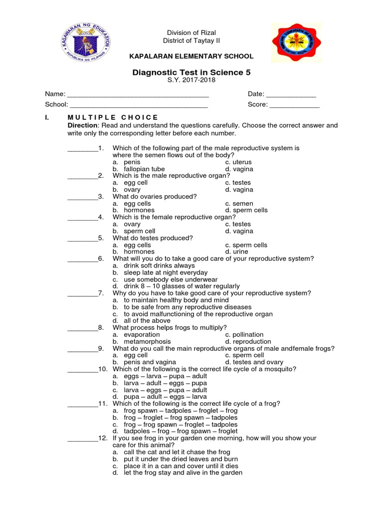 Diagnostic Test in Science 5 | Rock (Geology) | Atmosphere Of Earth