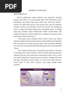 Nasofaringitis Akut | PDF | Pengembangan Diri | Kesehatan Holistik