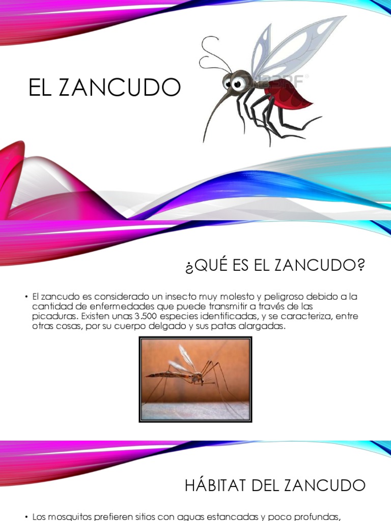 El Zancudo | PDF