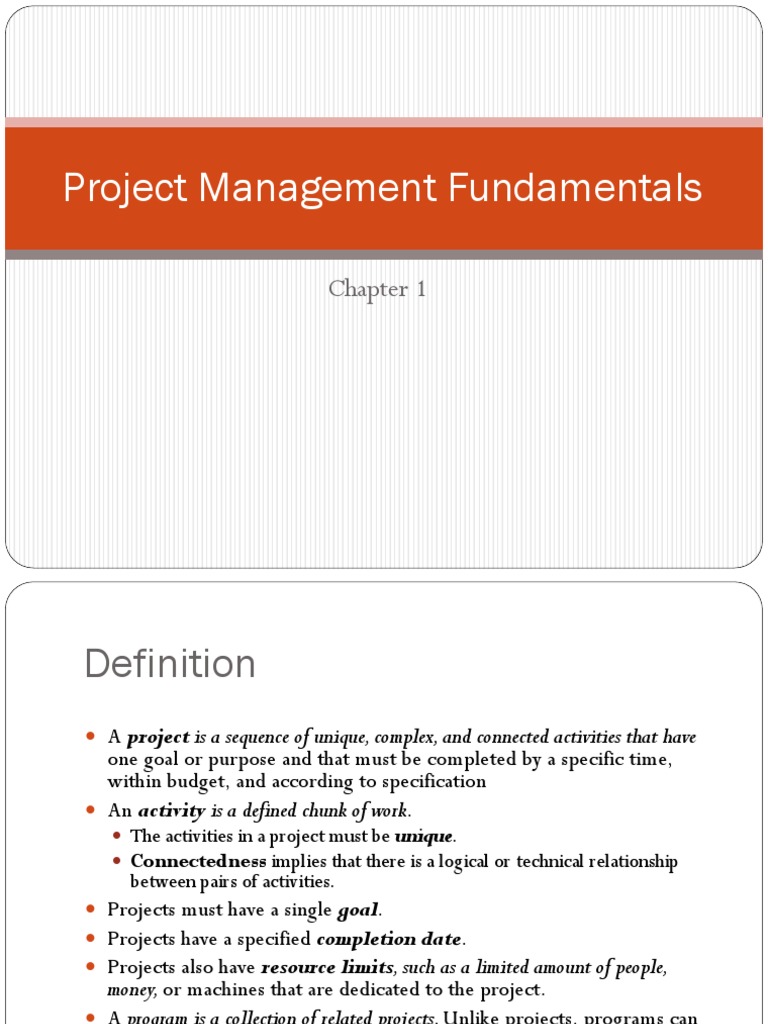 Project Management Fundamentals | PDF | Project Management | Computing