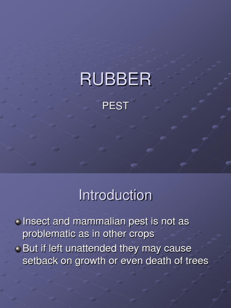 RUBBER Pest n Disease | Rat | Natural Rubber