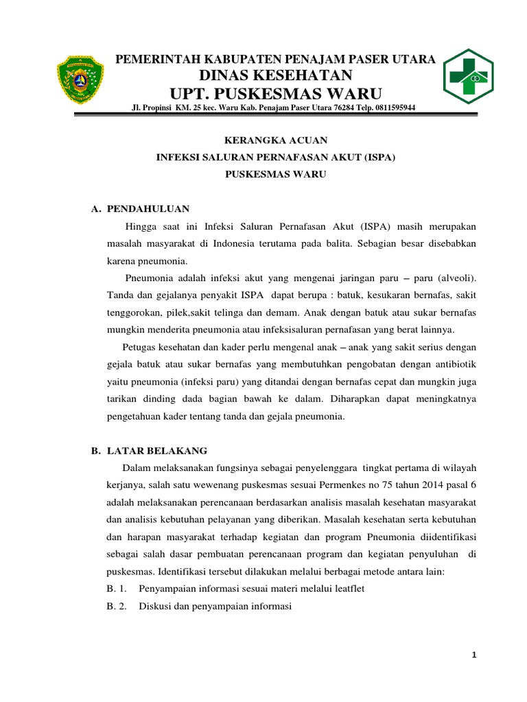 Kak Ispa Pneumonia | PDF