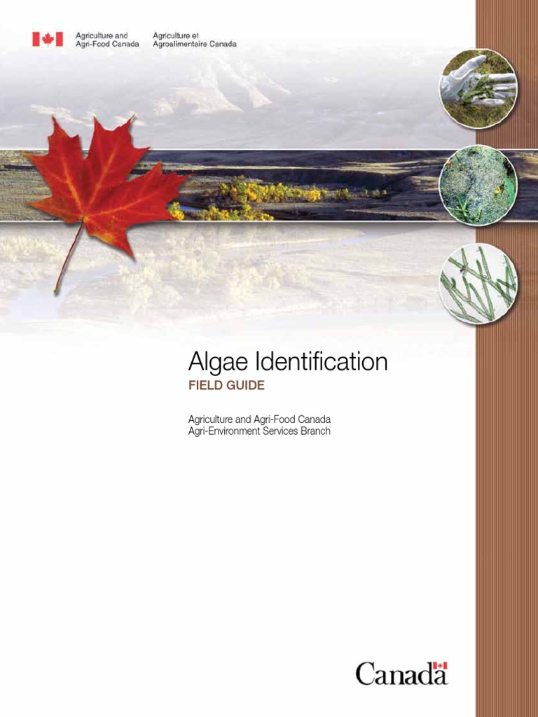 Algae Identification Field Guide.pdf