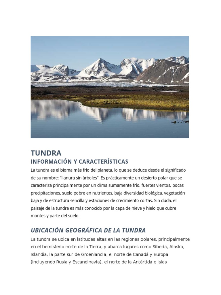 TUNDRA.doc | Ciencias de la tierra y de la vida | Ciencias de la Tierra