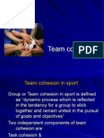 Sports Psych - Carron's Model | PDF | Leadership | Group Cohesiveness