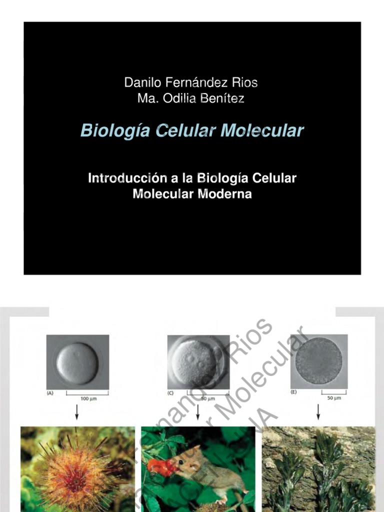 02 Introduccion A La Biologia Celular Molecular Moderna | PDF