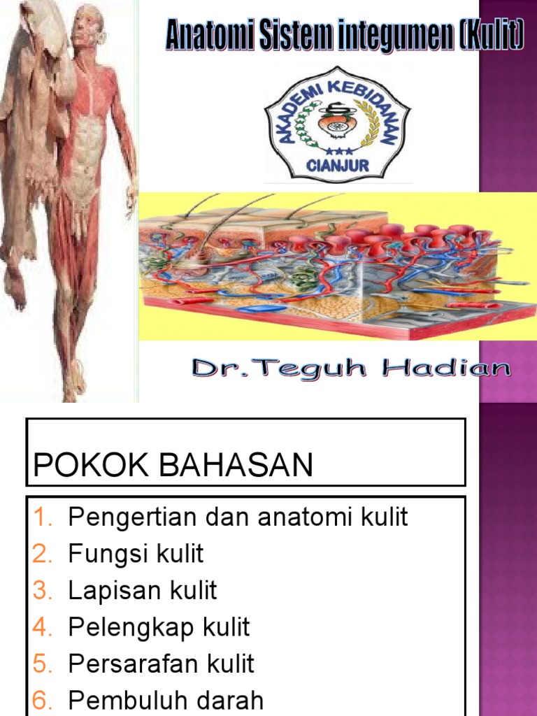 Anatomi Integumen | PDF