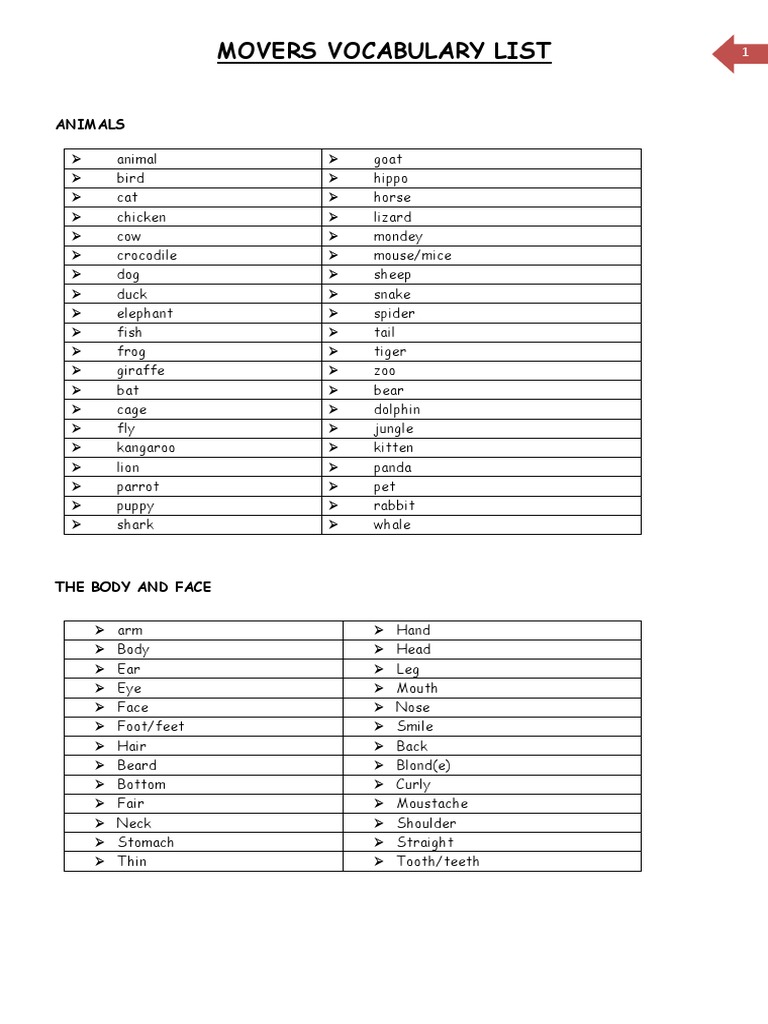 Movers Vocabulary List PDF | PDF