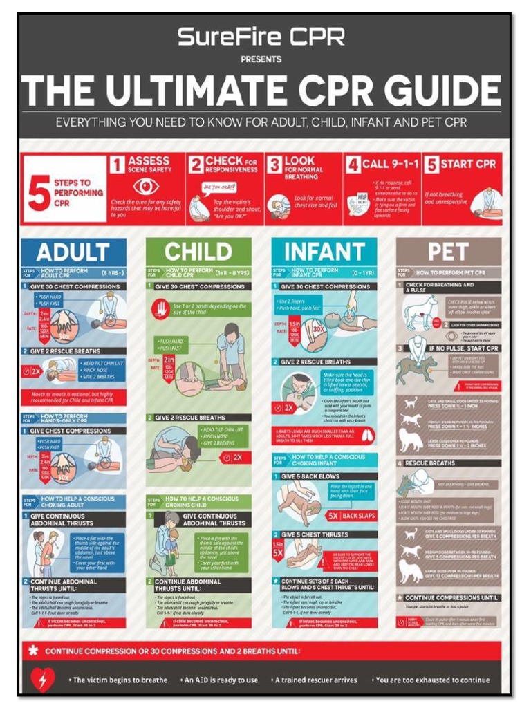 The Ultimate CPR Guide | PDF