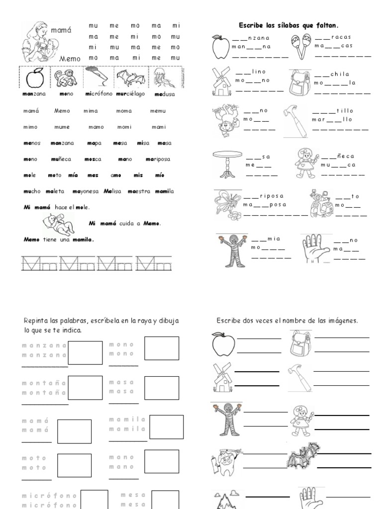 Palabras y Ejercicios PDF | PDF
