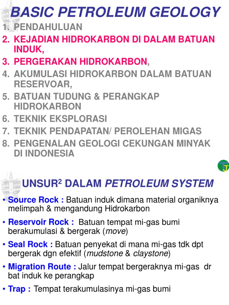 Hydrocarbon Generation in Petroleum Geology | PDF