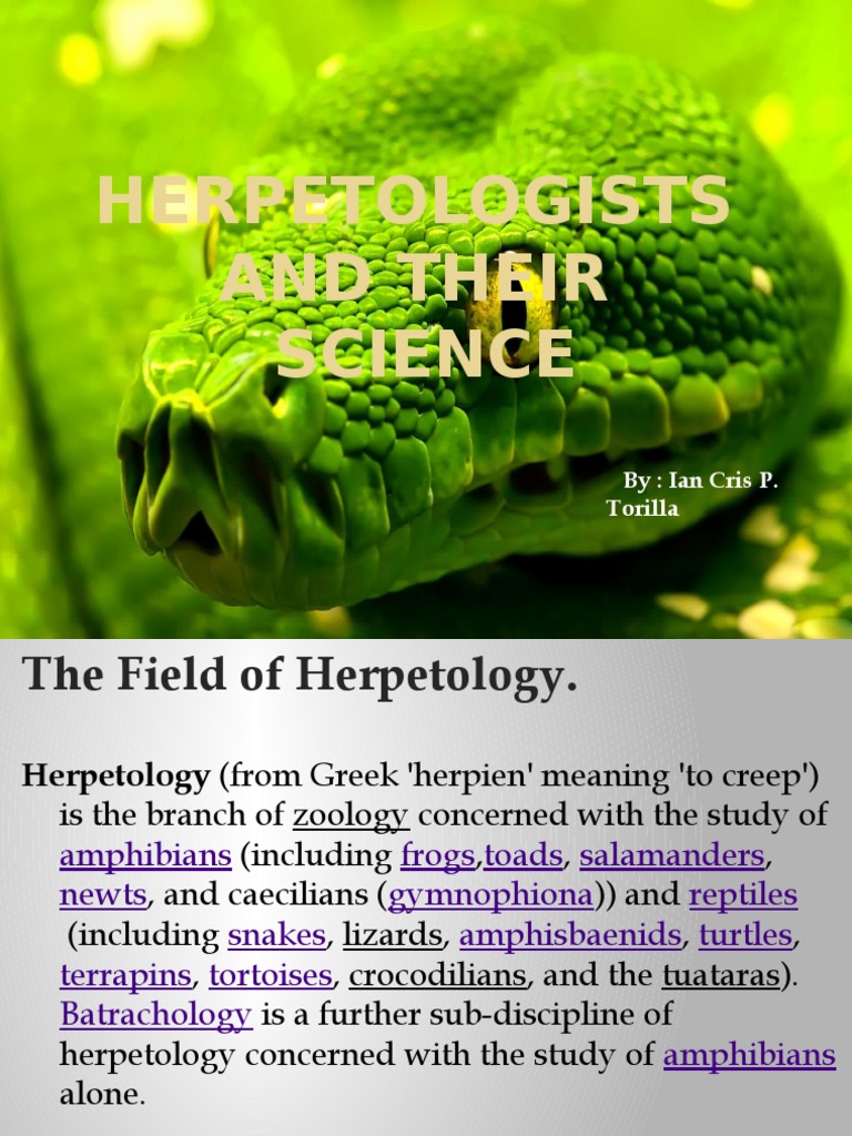 Herpetology | PDF | Amphibian | Frog