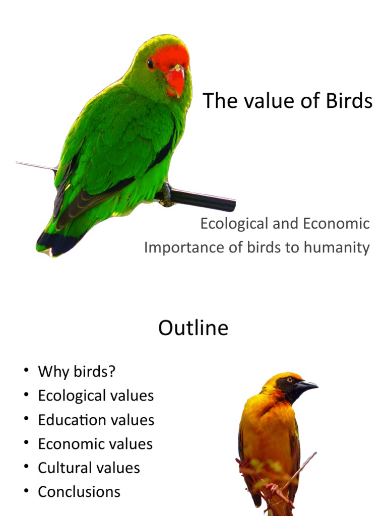 The Value of Birds: Ecological and Economic Importance of Birds To ...