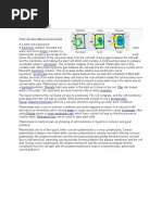 BIR Form 2305: Exemption Update Guide | PDF | Personal Exemption ...