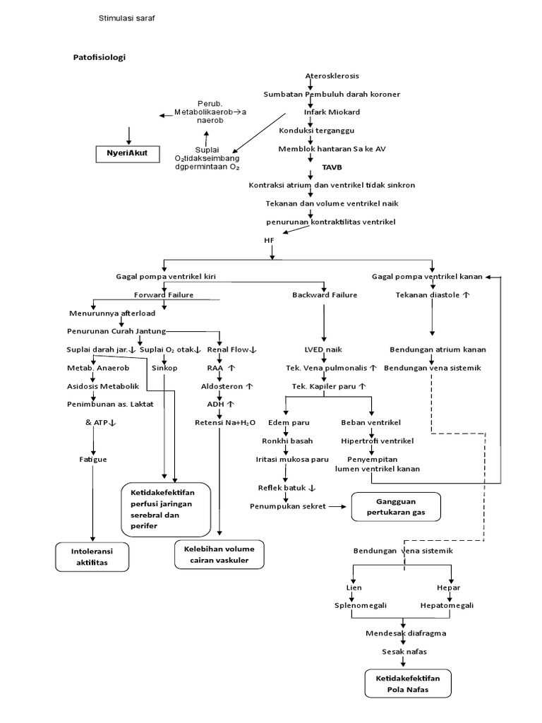 Patofisiologi Tavb Fix | PDF