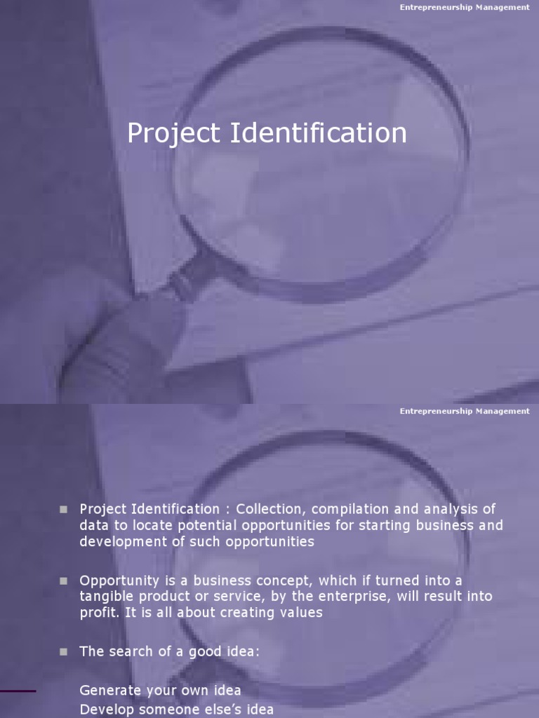 Project Identification | PDF