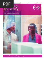 Glencore Coal Assets Australia Fatal Hazard Protocols Operations and ...