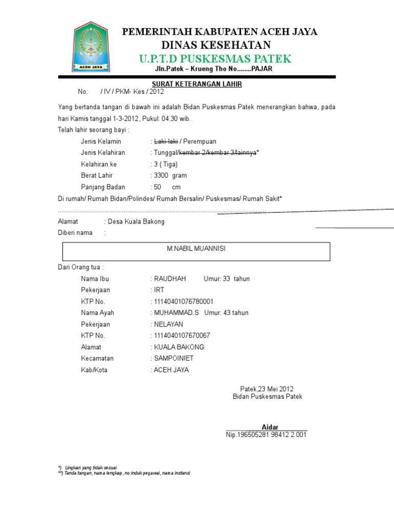 Surat Keterangan Lahir PDF