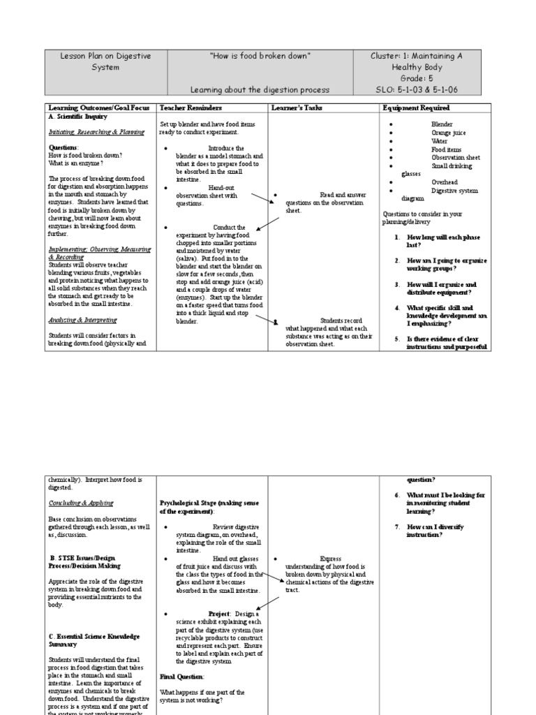 Digestive System Lesson Plan for Grade 5 | PDF | Self-Improvement