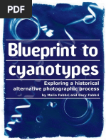 Cyanotype Worksheet | PDF | Art Media | Vision