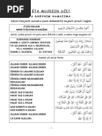 Sufara Ibrahim Softic | PDF