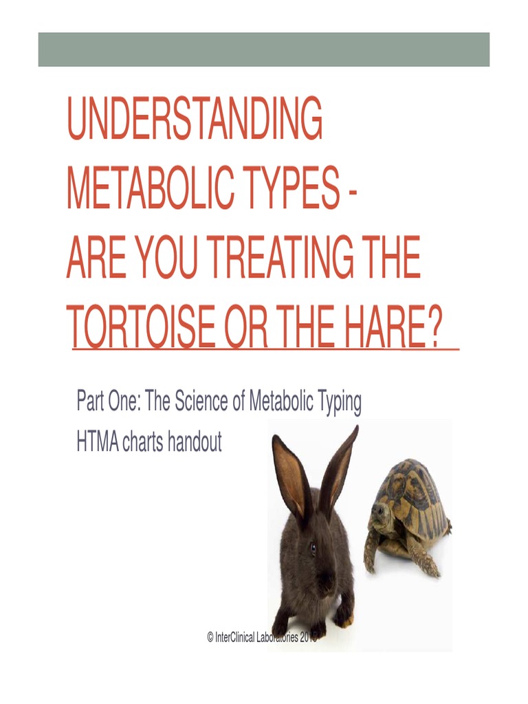Metabolic Types Chart Handout | Download Free PDF | Endocrine System ...