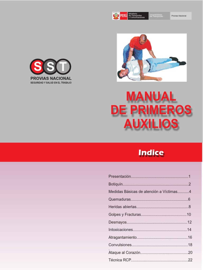 Manual de Primeros Auxilios PDF | Descargar gratis PDF | Reanimación cardiopulmonar | Primeros ...