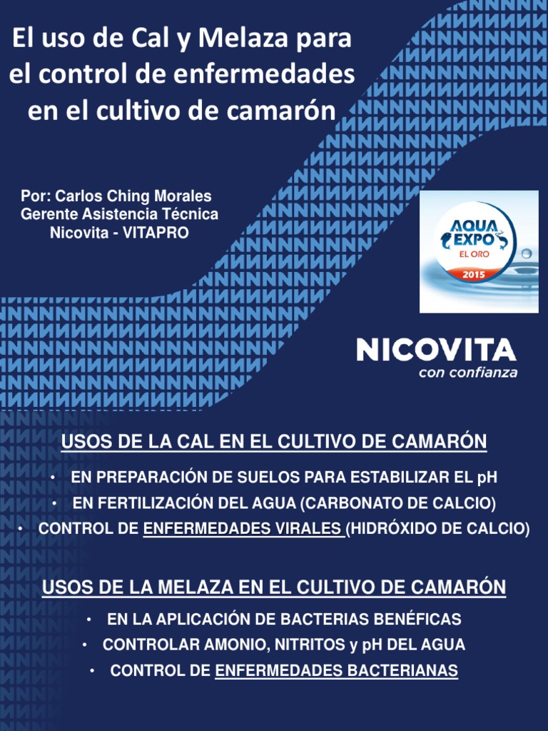 11 Carlos Ching | PDF | Melaza | Calcio