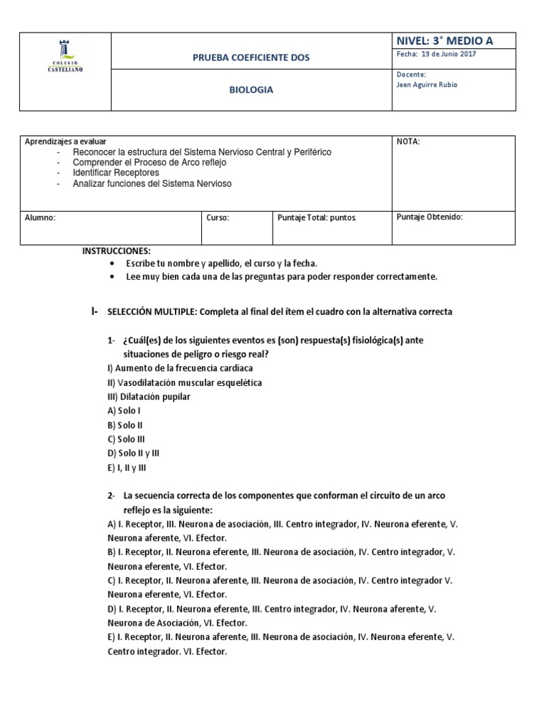 Prueba c2 Alumno 3A Biologia | PDF | Sistema nervioso | Neurona