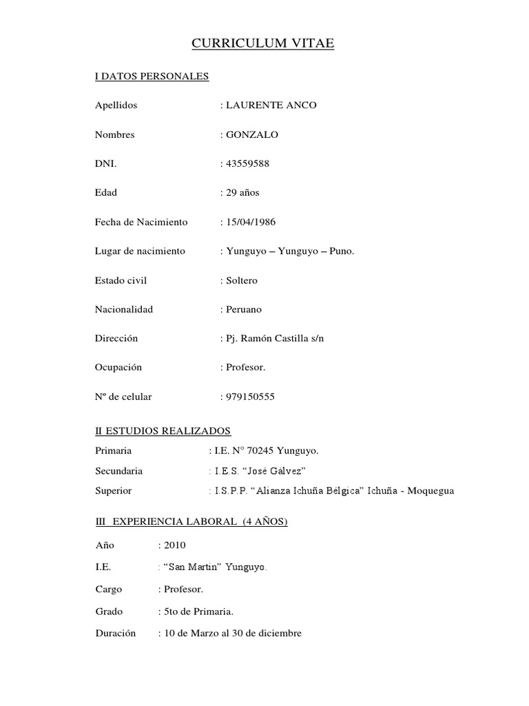 Curriculum Vitae Gonzalo | PDF