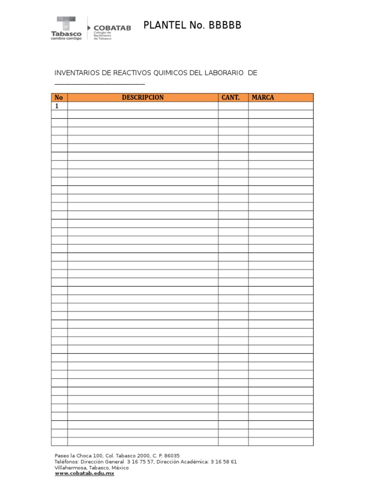 Formato de Inventarios | PDF