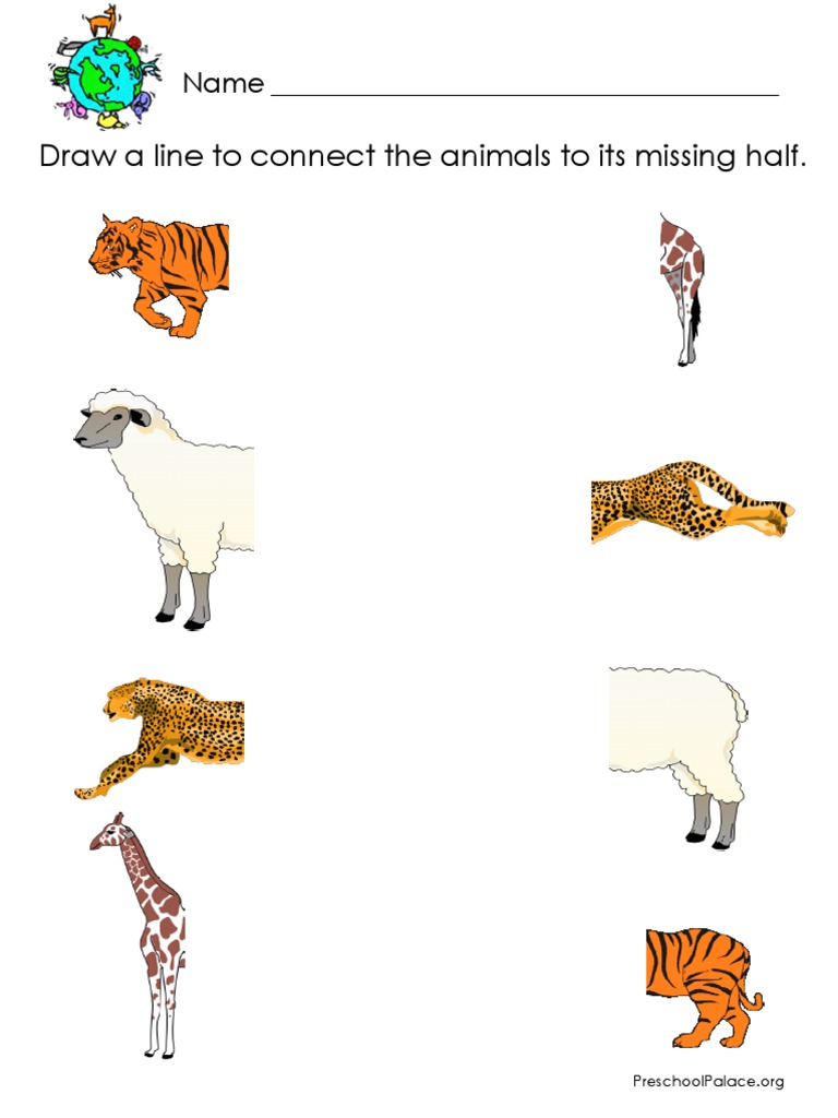 Concepts - Animal Half and Half | PDF