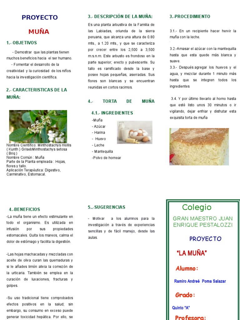 Triptico Experimento | PDF