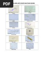 Tabel Uji Biokimia Bakteri Bacil | PDF