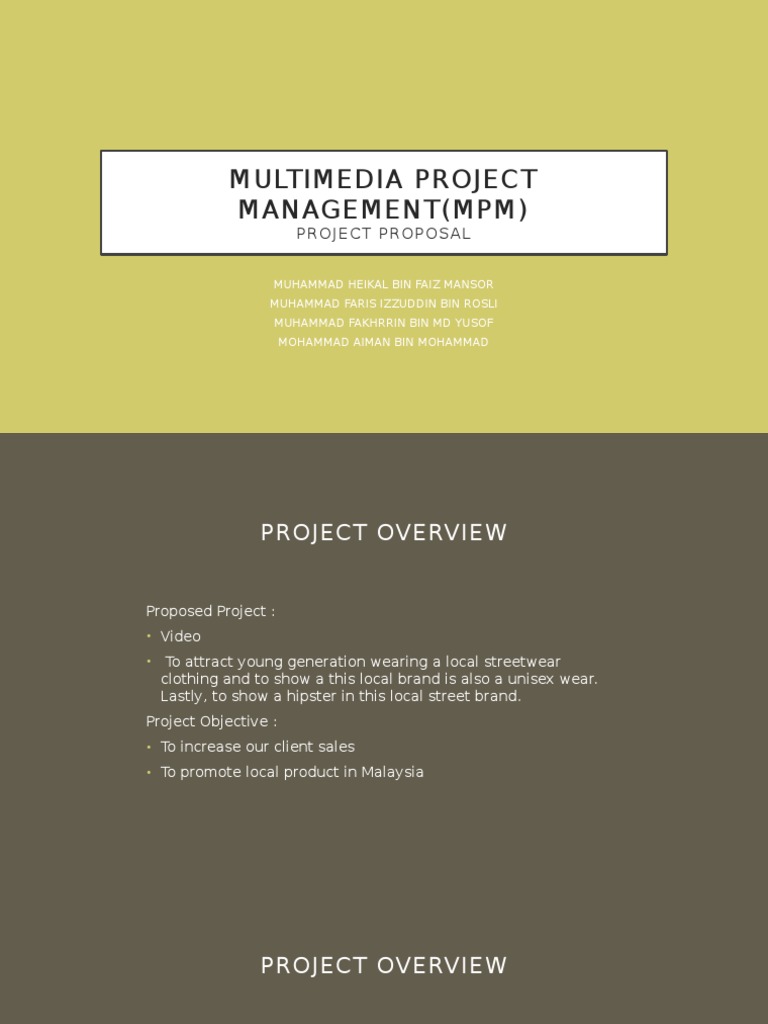 Multimedia Project Management (MPM) | Download Free PDF | Communication ...