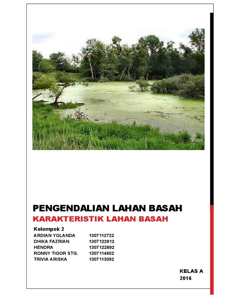 Karakteristik Lahan Basah di Indonesia | PDF