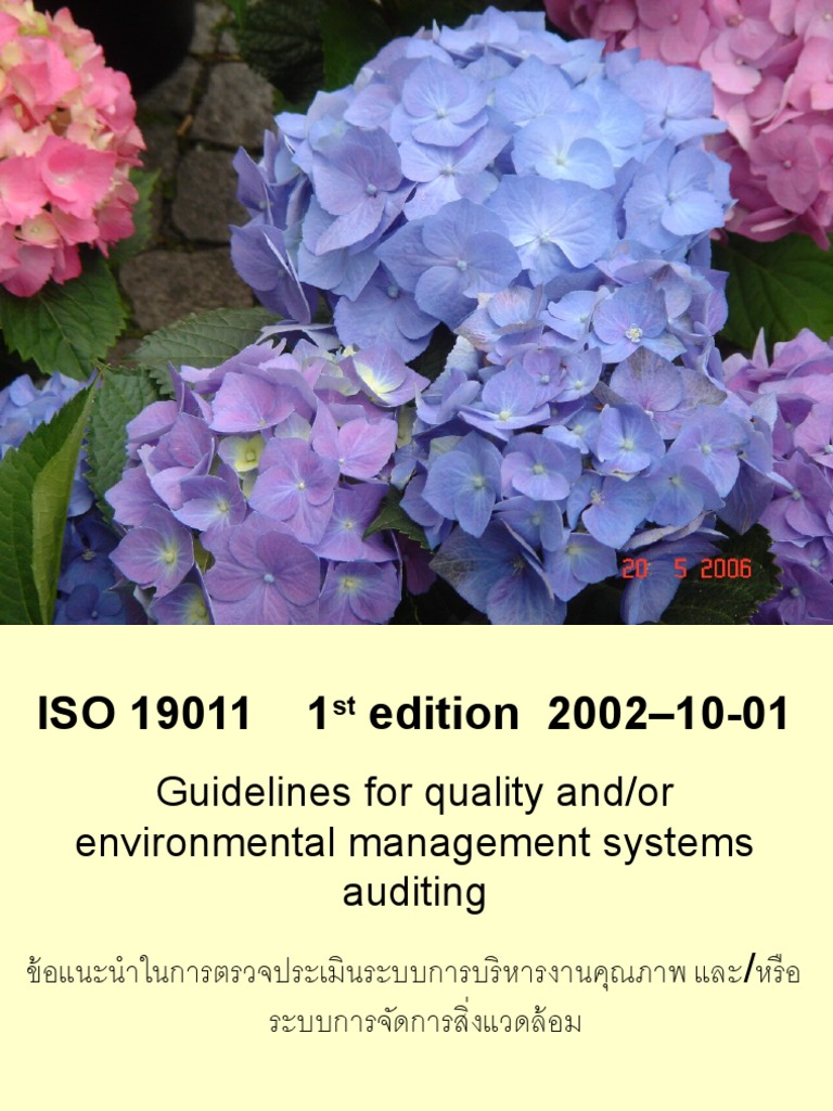 Iso 19011 | PDF