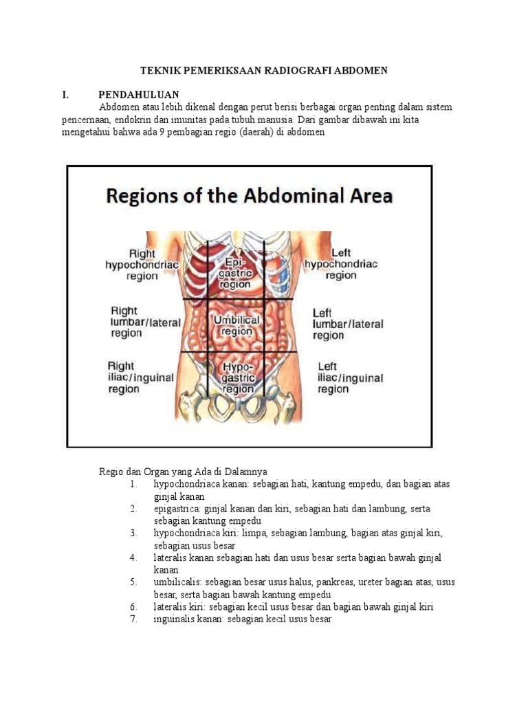 Teknik Pemeriksaan Radiografi Abdomen | PDF