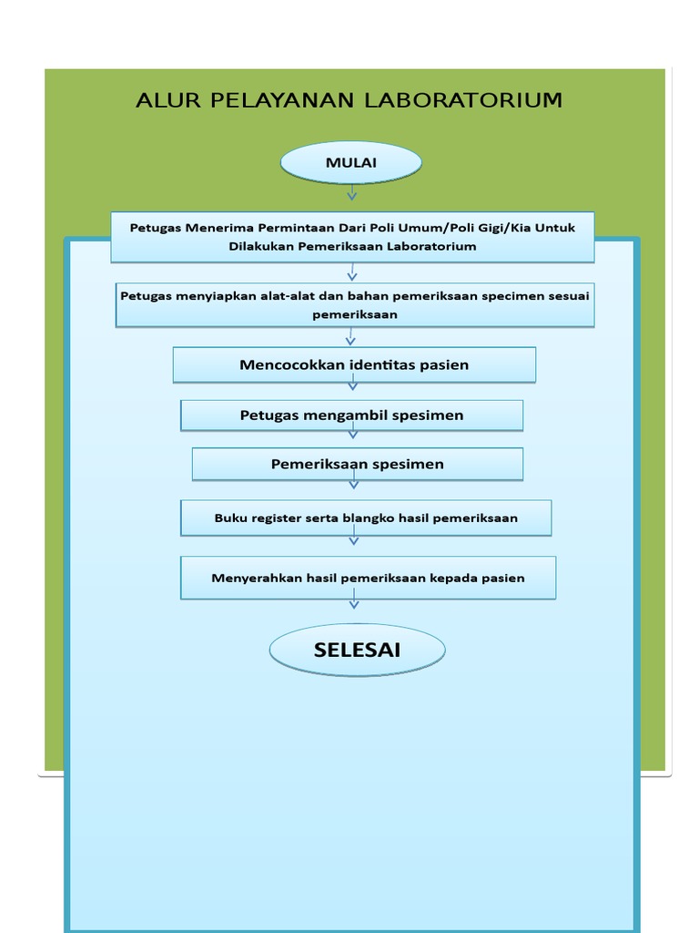 Alur Pelayanan Laboratorium Puskesmas | PDF