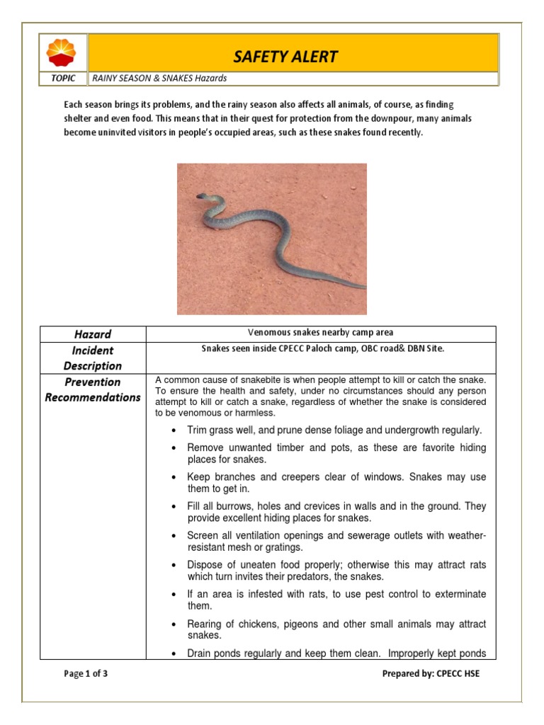 Snake Hazard Alert | PDF | Snake | Nature