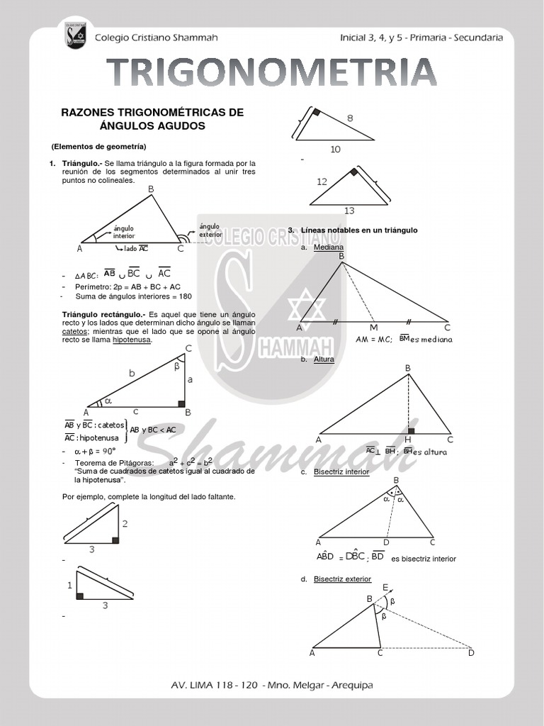 Ejercicios de Trigonometría para Primaria | PDF | Triángulo | Trigonometría
