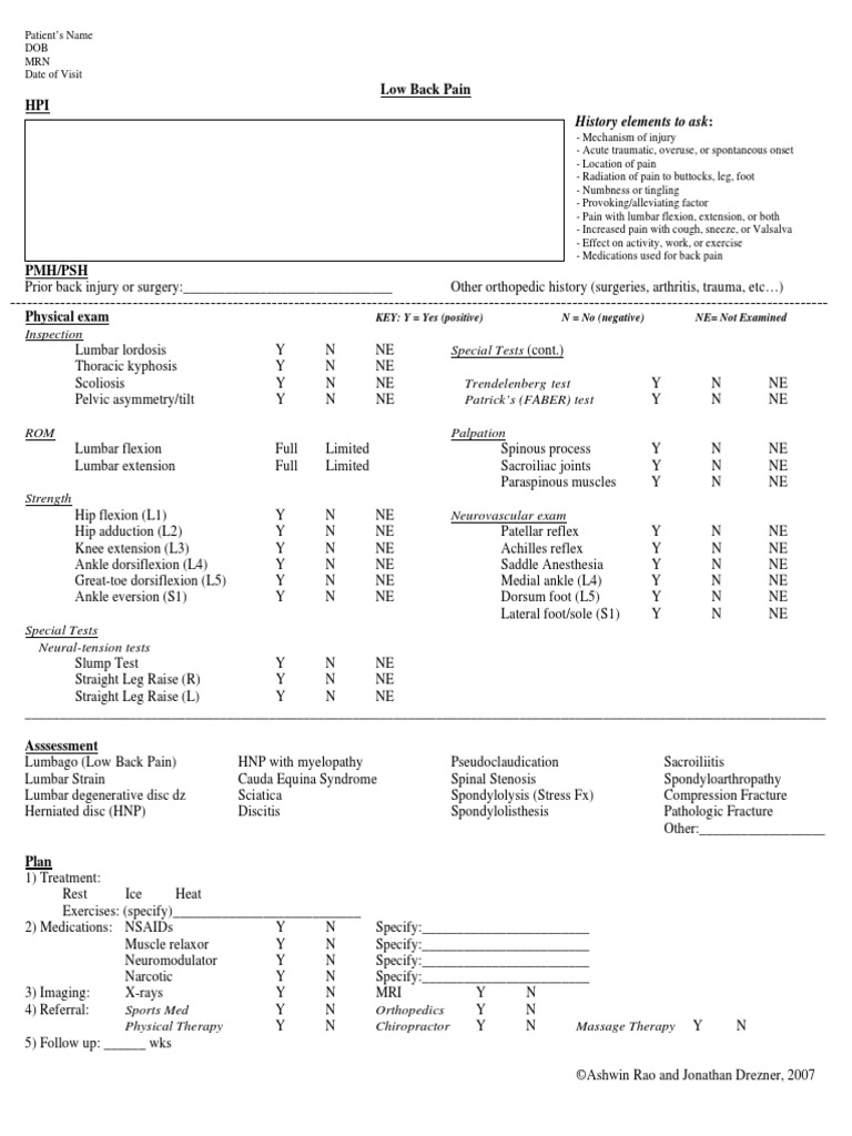 Low Back Exam.pdf | Back Pain | Low Back Pain