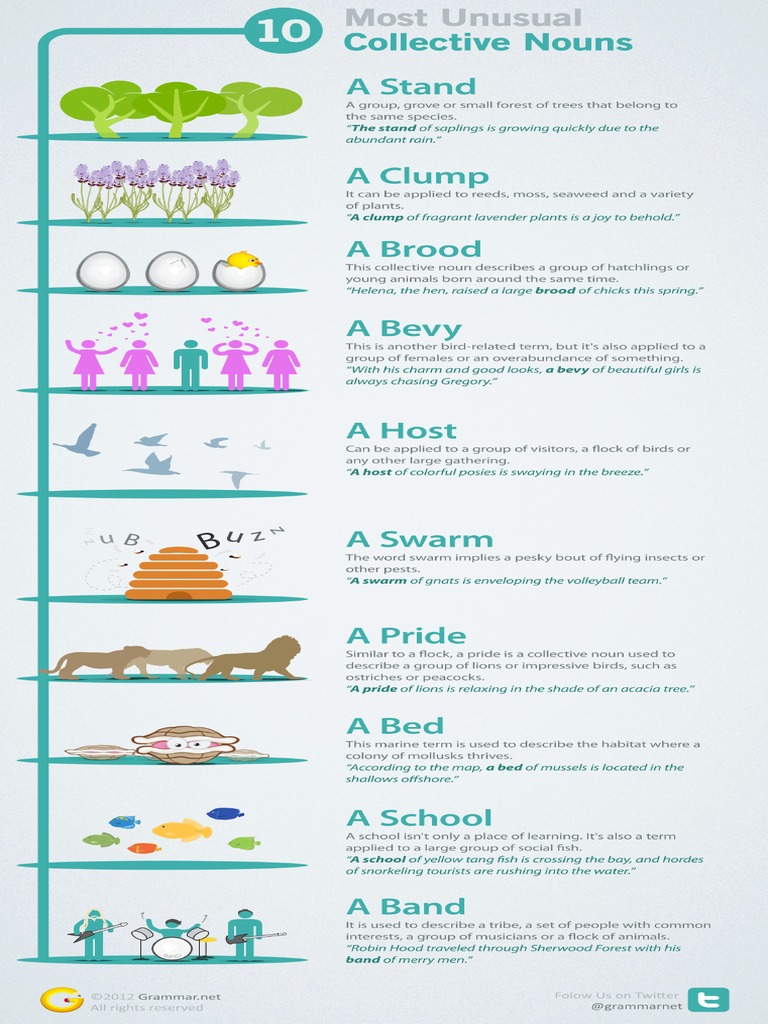 10 Most Unusual Collective Nouns Revealed and Explained PDF | PDF
