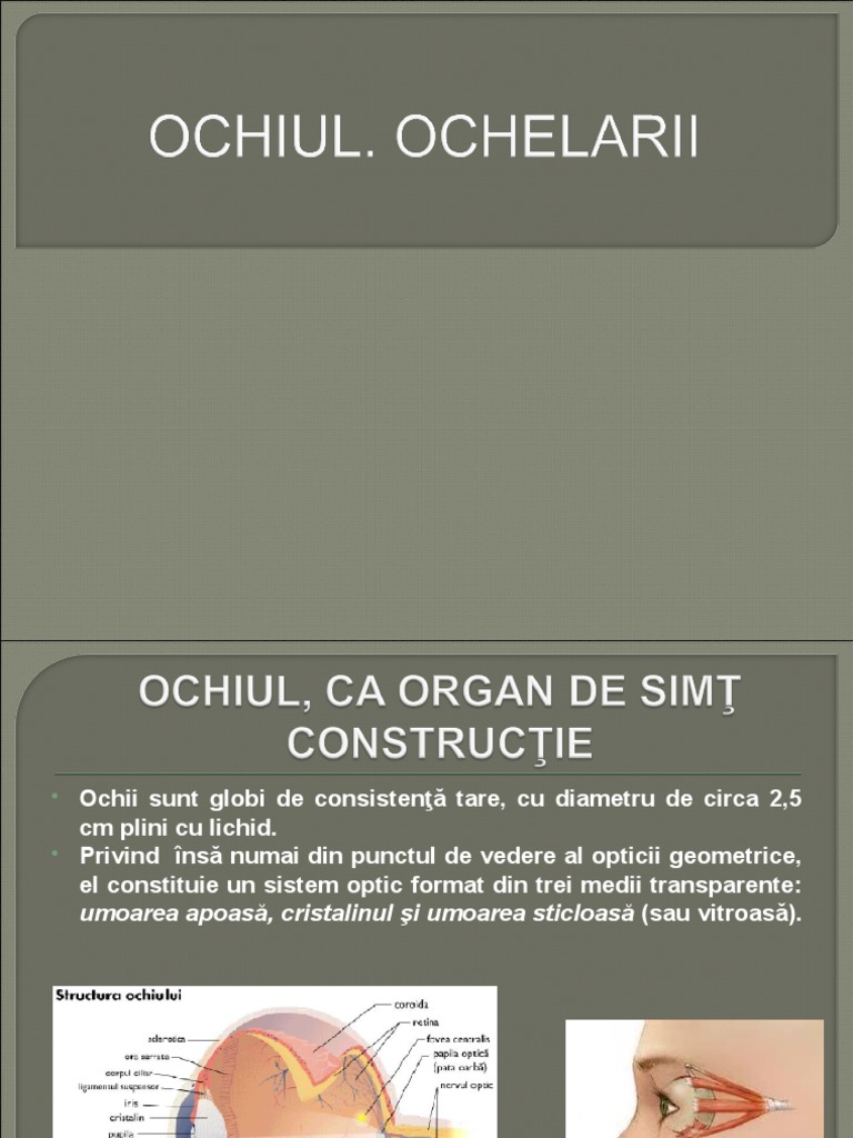 Prezentare Despre Ochi Si Ochelari | PDF