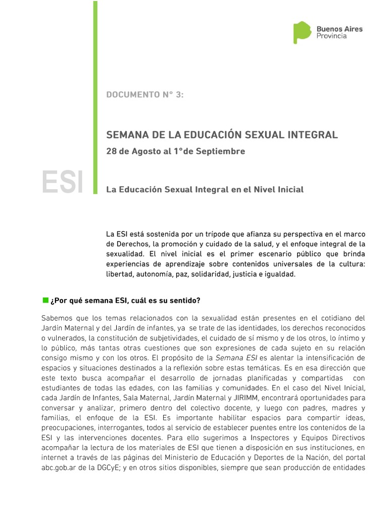 Documento N 3 - ESI en Inicial | PDF
